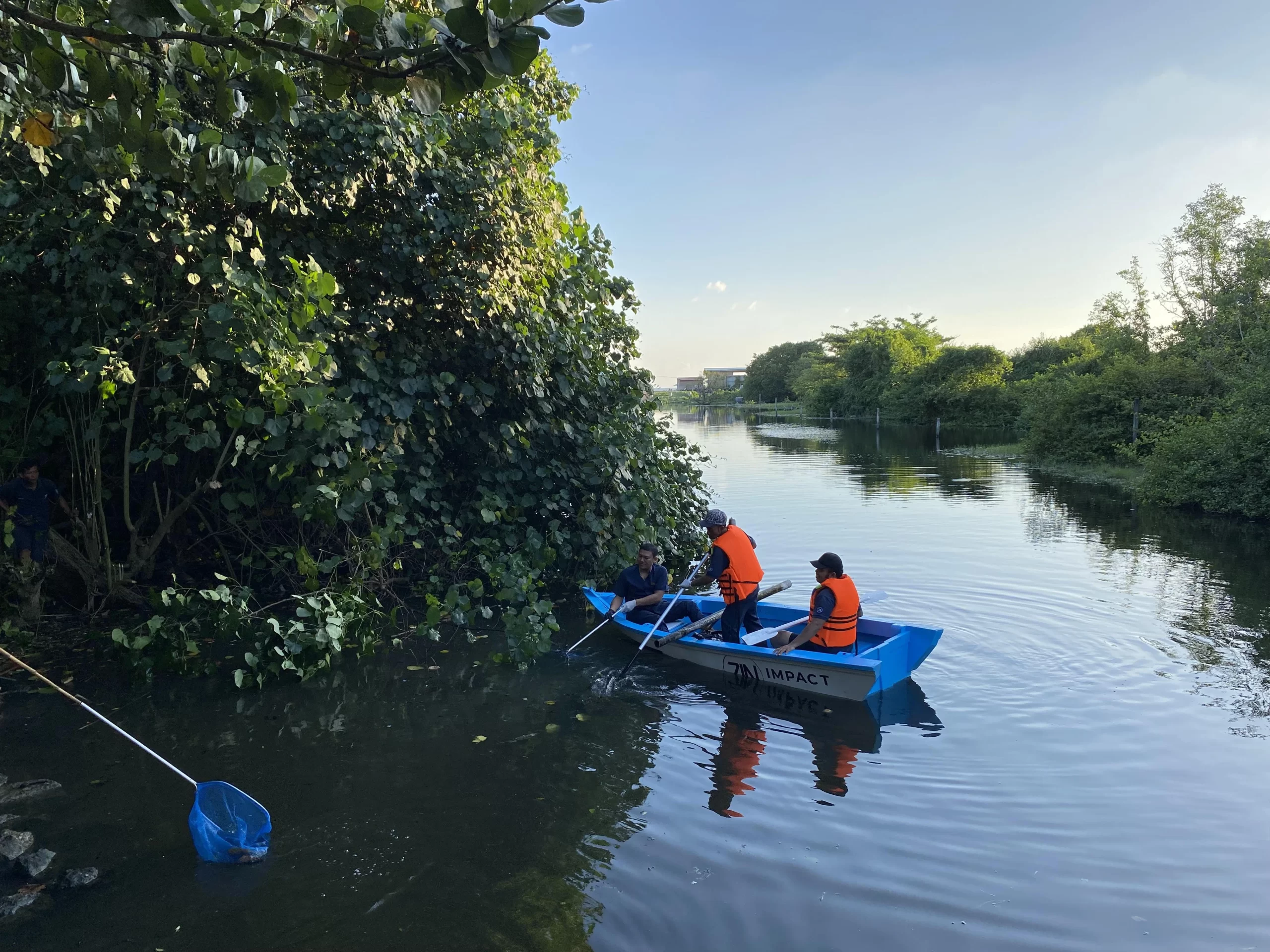 Cleaning the River Mangrove Behind ZIN Canggu - ZIN World